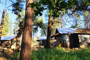 Wishon Cove – Pacific Service Employees Association